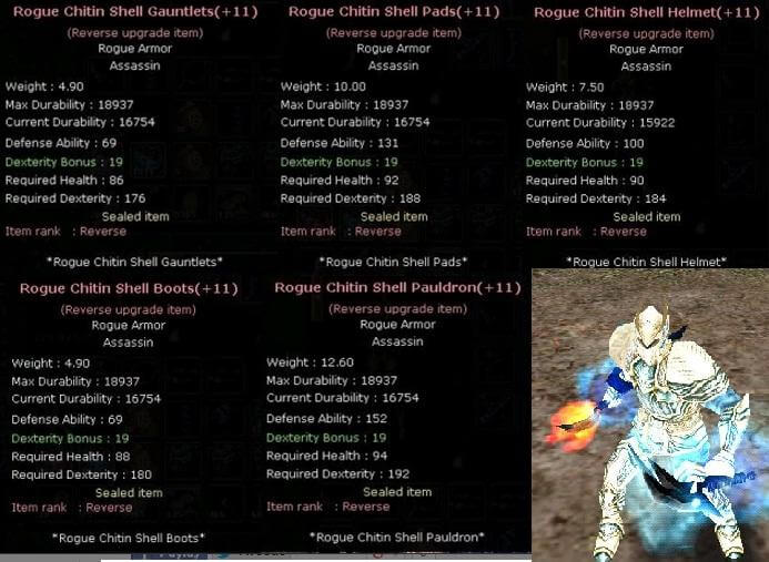 +11 Rogue Shell Set Knight Server Diez-39281