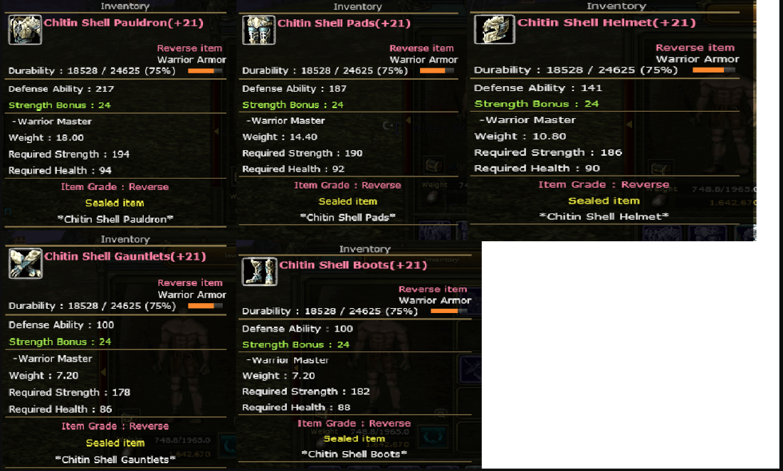 +21 Reb Warrior Shell Set | Knight Server Oreads-39734