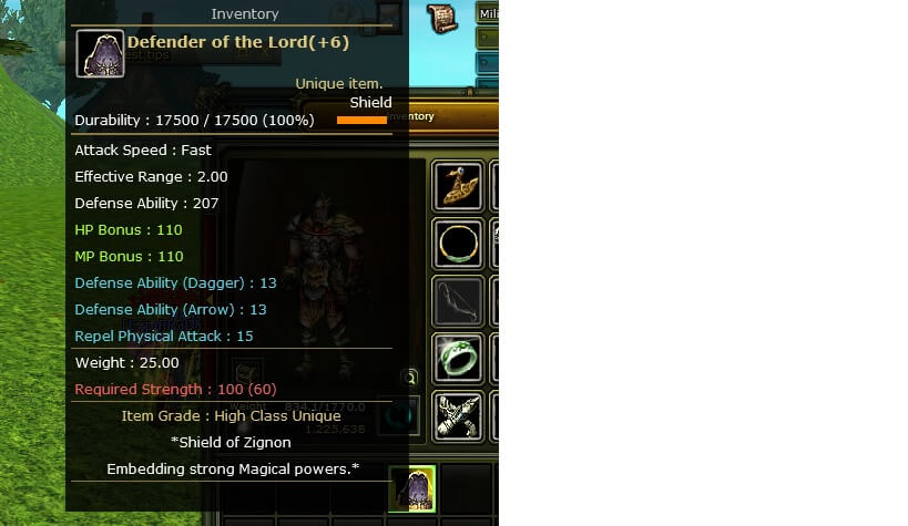 Defender The Magical Knight