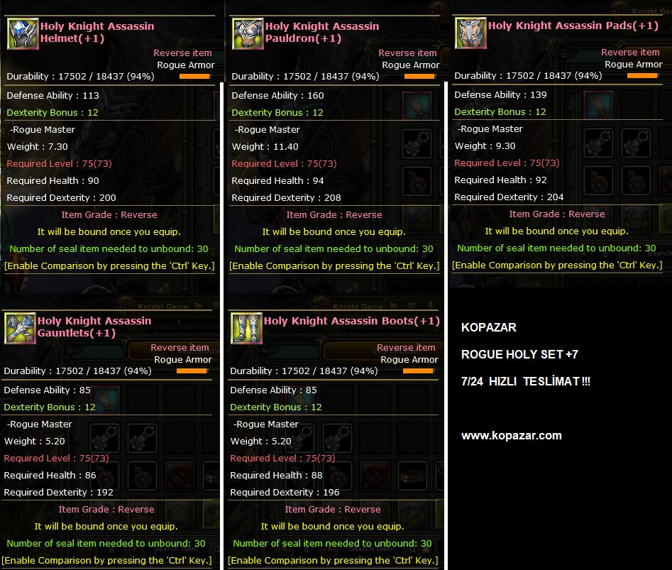 Rogue Holy Set +7 (reb +1) Guncel Knight Server Destan-111810
